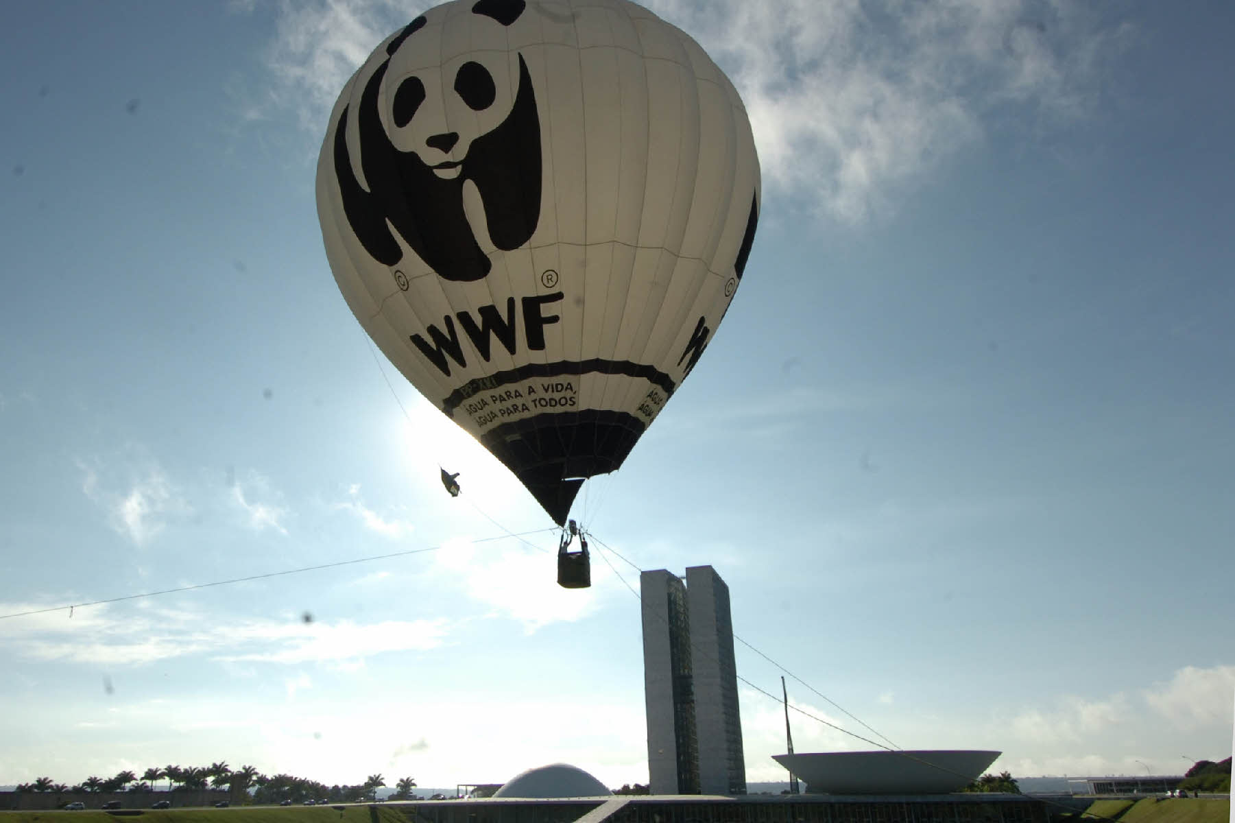 illustration_wwf_photo_José Cruz - Le Monde de l'Energie